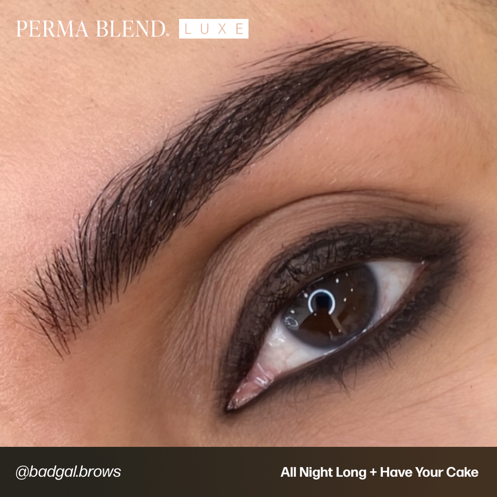 Perma Blend LUXE ~ All Night Long Microblading Pigment – Amavi PMU